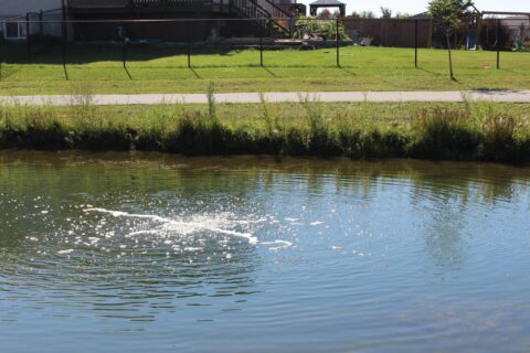 Fine Bubble Aeration technology: Why It’s the Best - Clean Water Pro